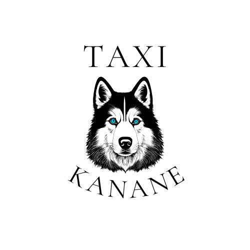 Taxi Kanane - Taxi & VSL en Moselle